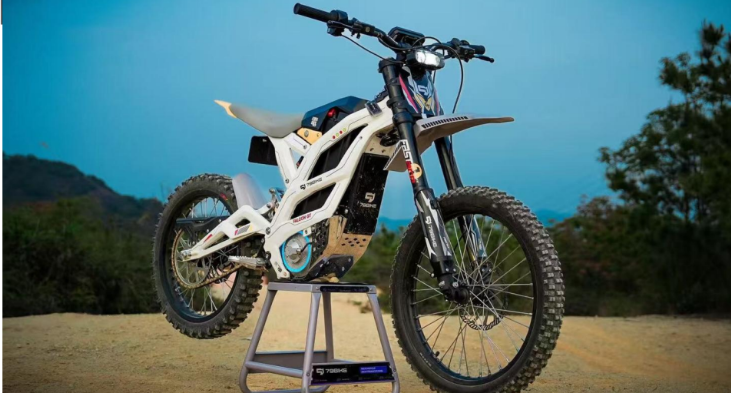 2025 79BIKE Falcon GT 16800W Off-Road Electric Bike – Powerful EBikes